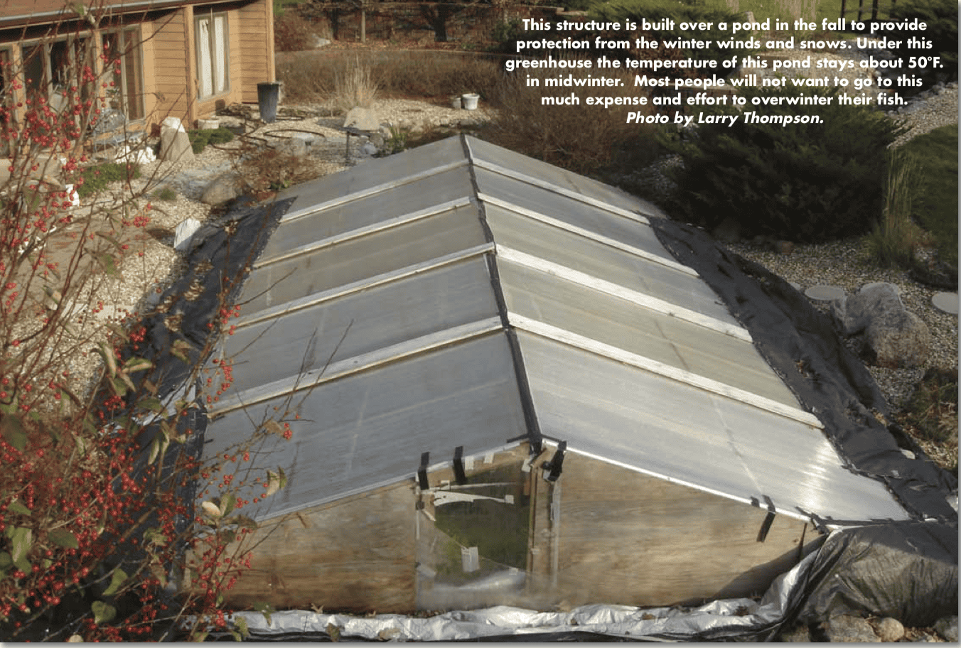 Overwintering Pond Fish Indoors - POND Trade Magazine