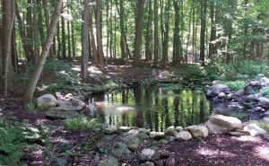 Pond Construction 101: The Fundamental Blueprint Every Builder Should ...