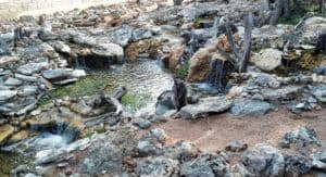 A How-To Guide: Building a Perfect Stream - POND Trade Magazine