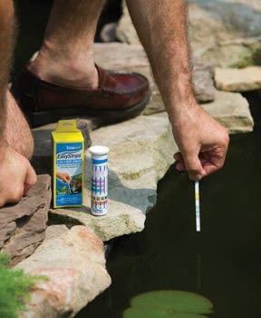 Pond Water Test Kits: Selection and Proper Use - POND Trade Magazine