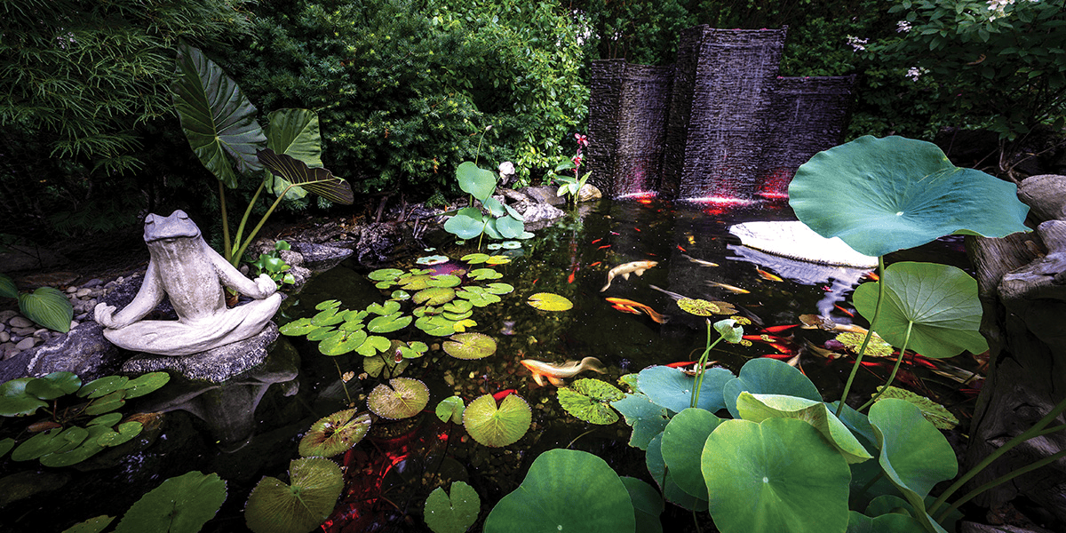 Pond Project Management in the Pandemic Age - POND Trade Magazine