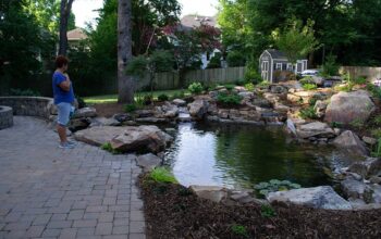 Interactive Pond is an Outdoor Classroom - POND Trade Magazine