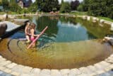 Natural Swimming Pools and Recreational Ponds: What You Need to Know ...