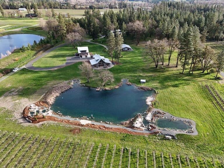Ecosystem Pond at Vidlak Family Vineyards - POND Trade Magazine