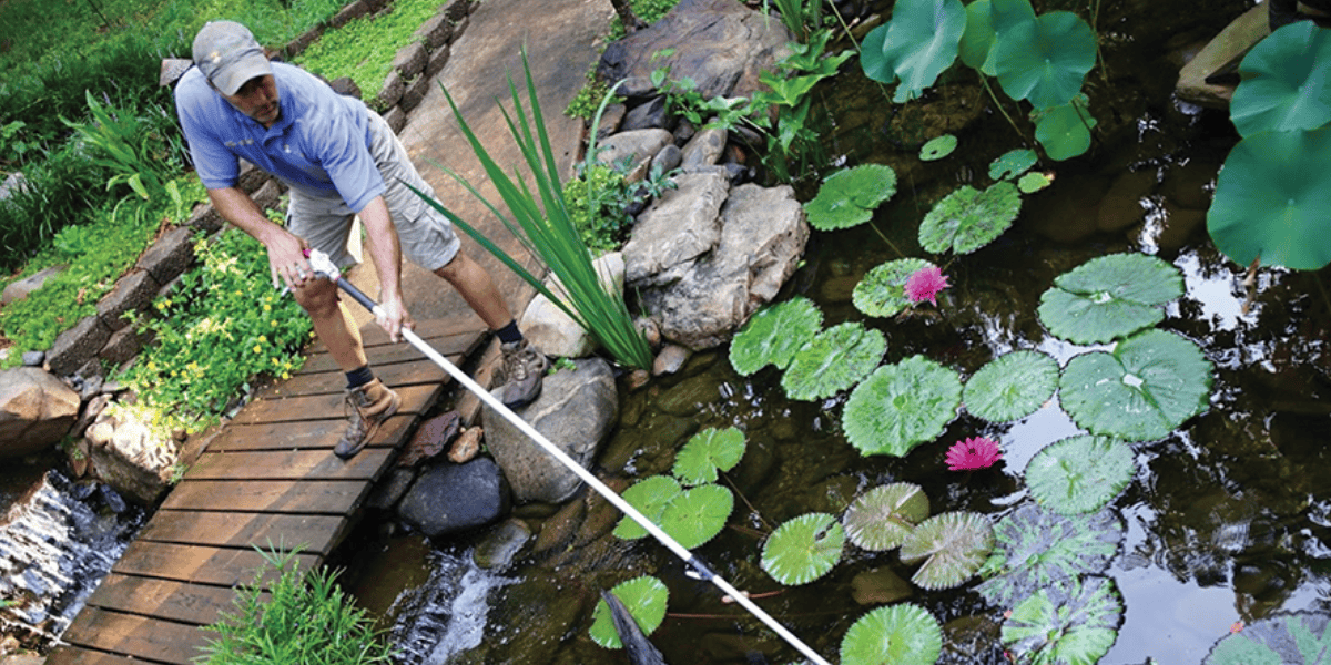 Pond Construction: How to Build a Great Team - POND Trade Magazine