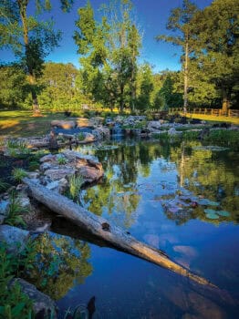Aquatic Alley-oop: A Large Pond Fix for Shaq - POND Trade Magazine