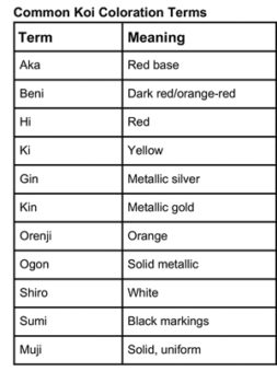 Essential Language for Describing Koi - POND Trade Magazine