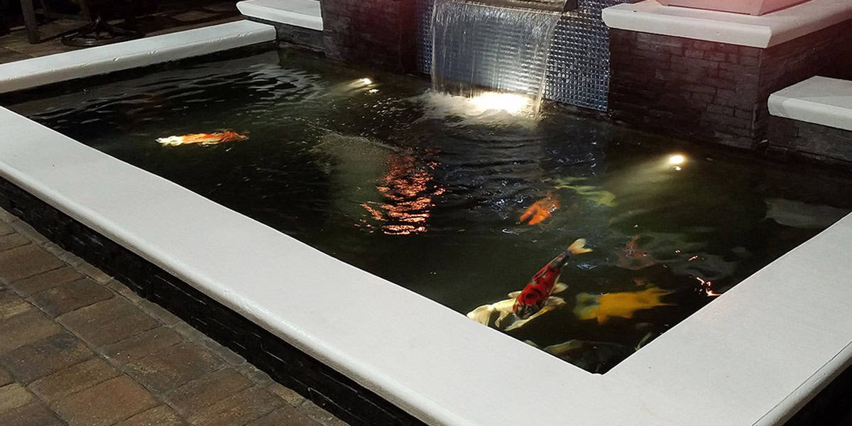 Breakthrough Modular Design Delivers Modern Koi Pond - POND Trade Magazine