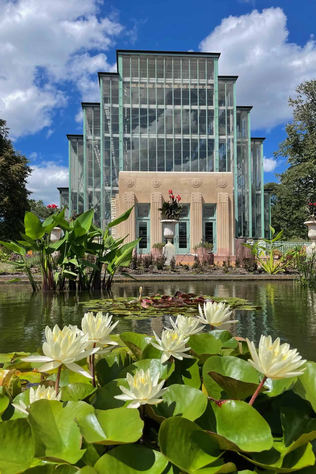 The St. Louis Water Garden Society Prepares for its 24th Annual Pond ...