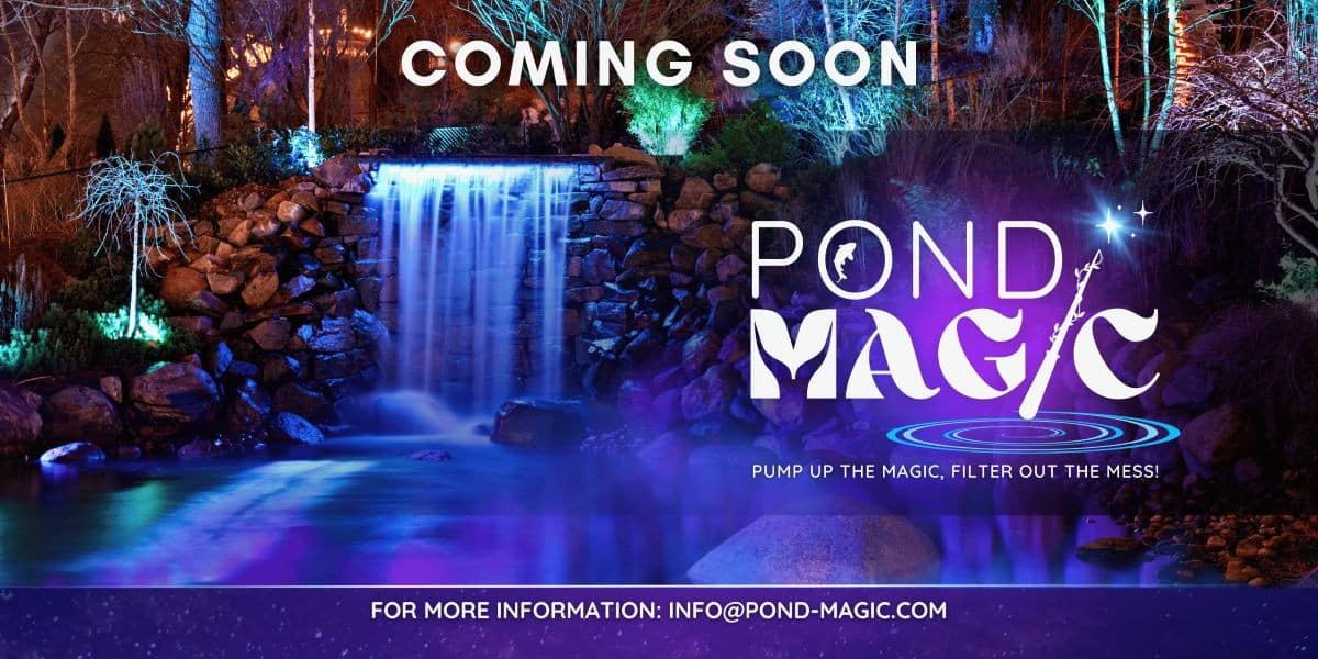 Introducing Pond Magic: A Powerful New Line of Water Garden Products ...